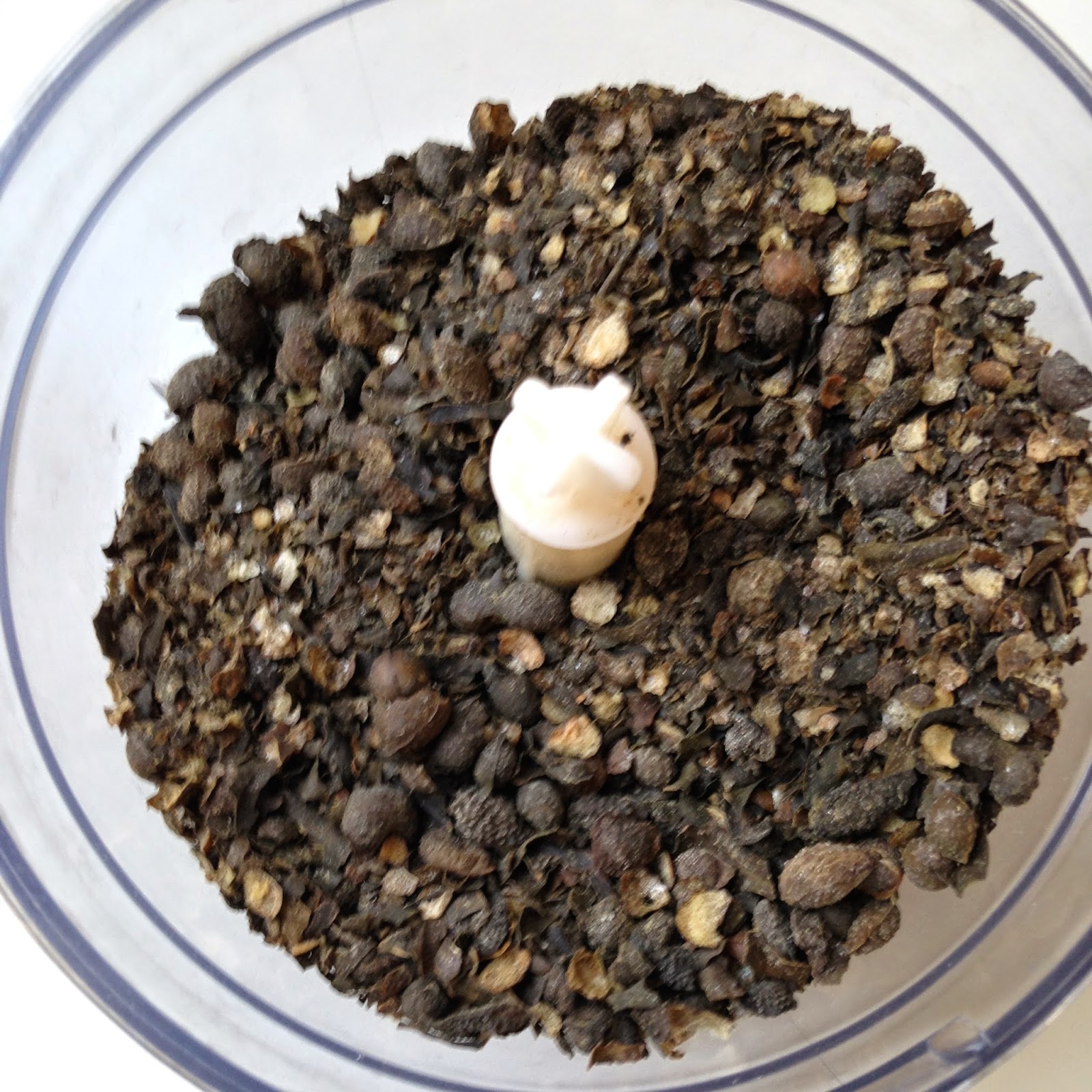 Tang Mad Fra Hav: Spiselig tang er en oplagt GØR DET SELV-ting ♥